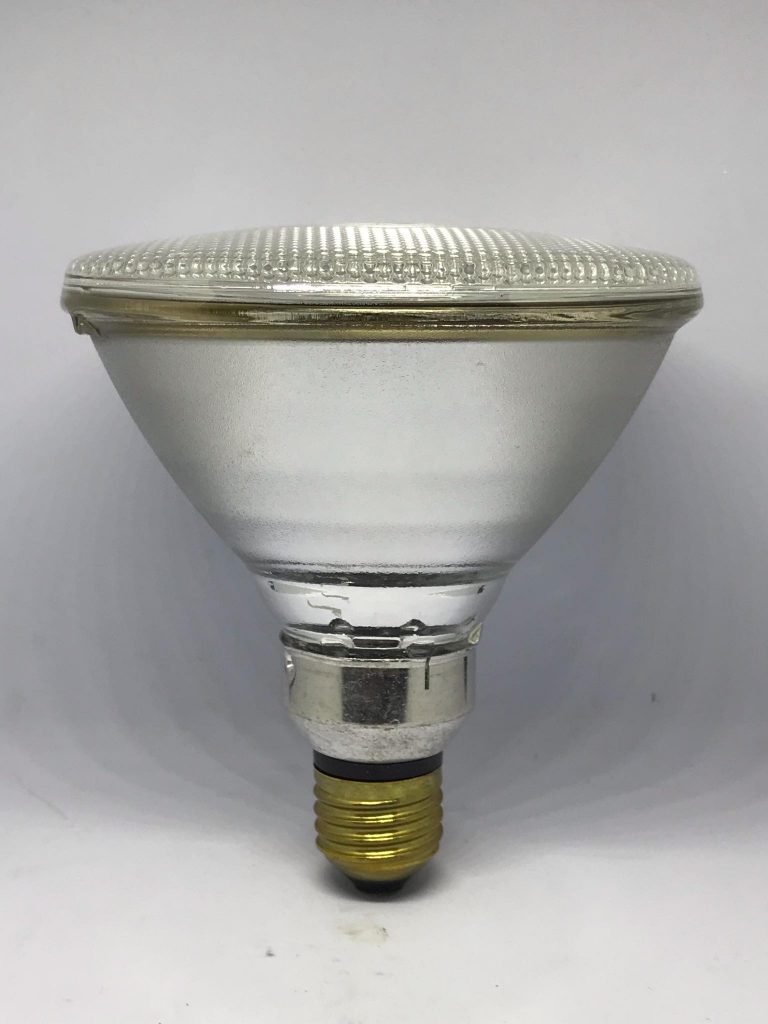 Philips Outdoor Reflector Flood Light PAR38 – Surya Bhakti Electric